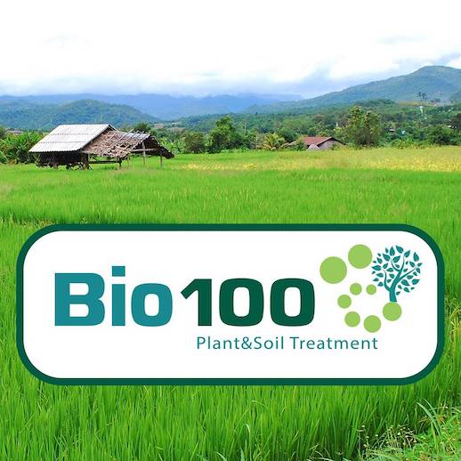 Bio100.basic – จุลินทรีย์สำหรับการเกษตร – ไบโอ100 (BIO100) ผลิตภัณฑ์ ...